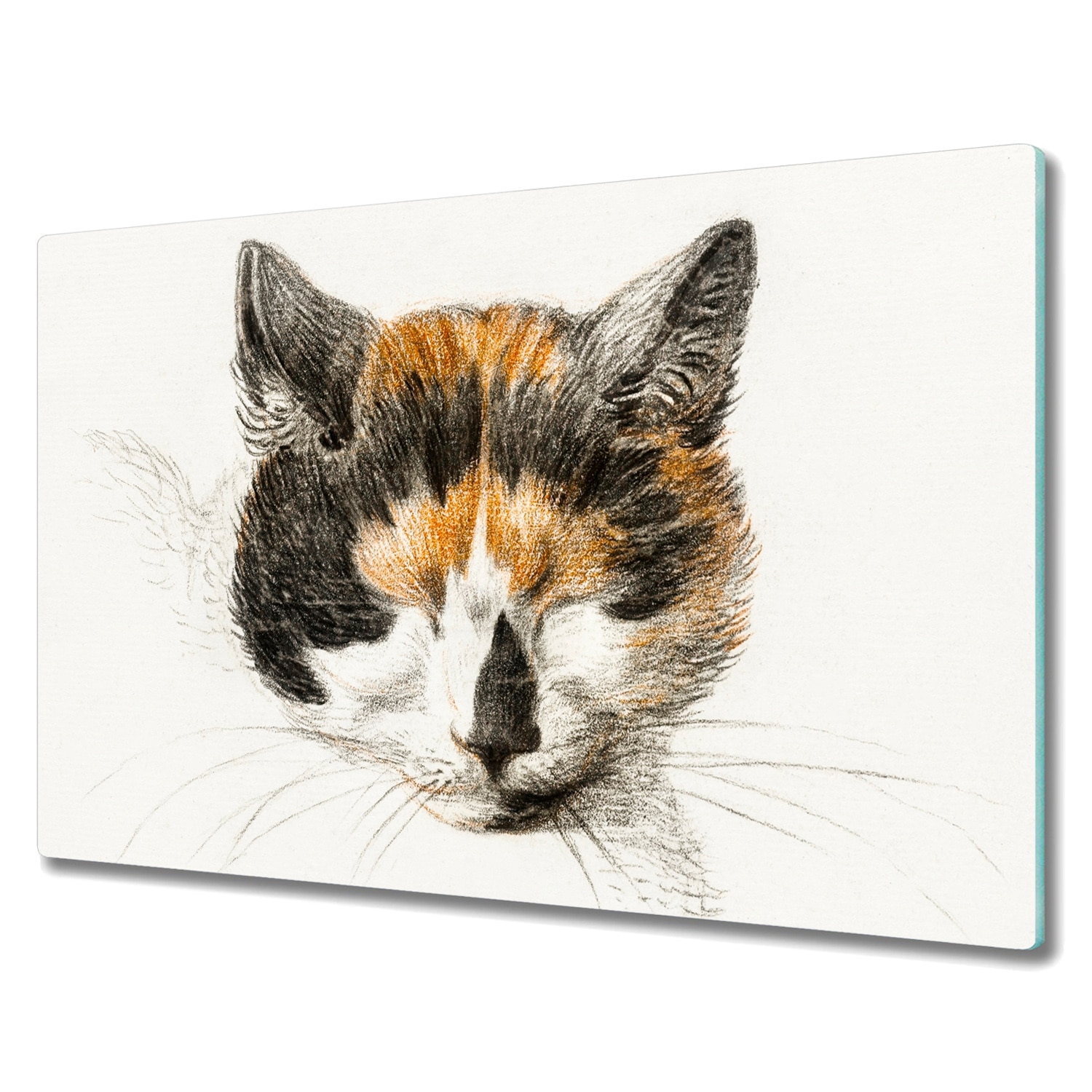 Tocator pe sticla, Dreptunghi, Desen Arta Pisicii Animale, Alb, 80 cm x ...