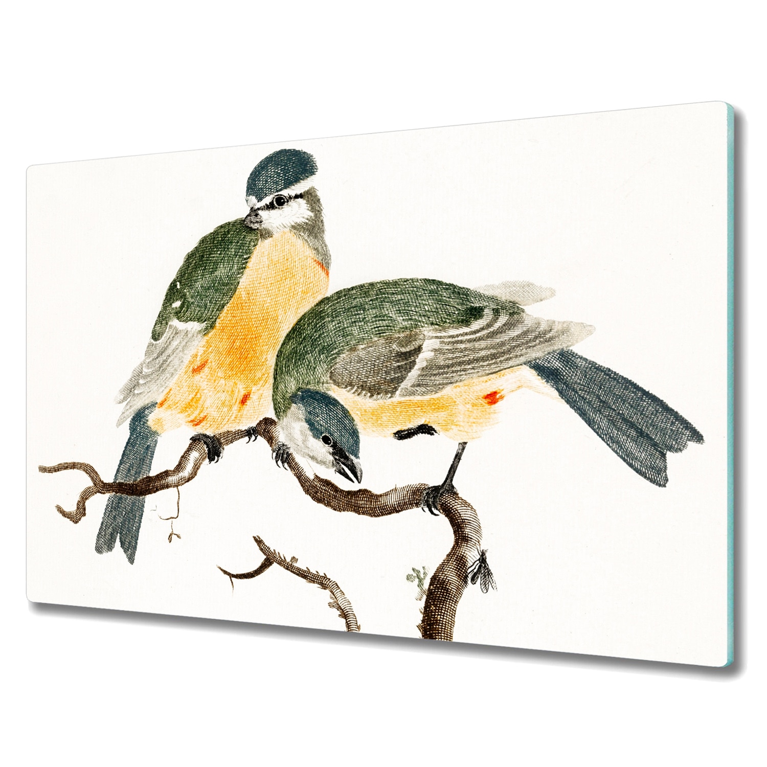 Tocator pe sticla, Dreptunghi, Desen Animale Pasari Ramura Art, Alb, 80 ...