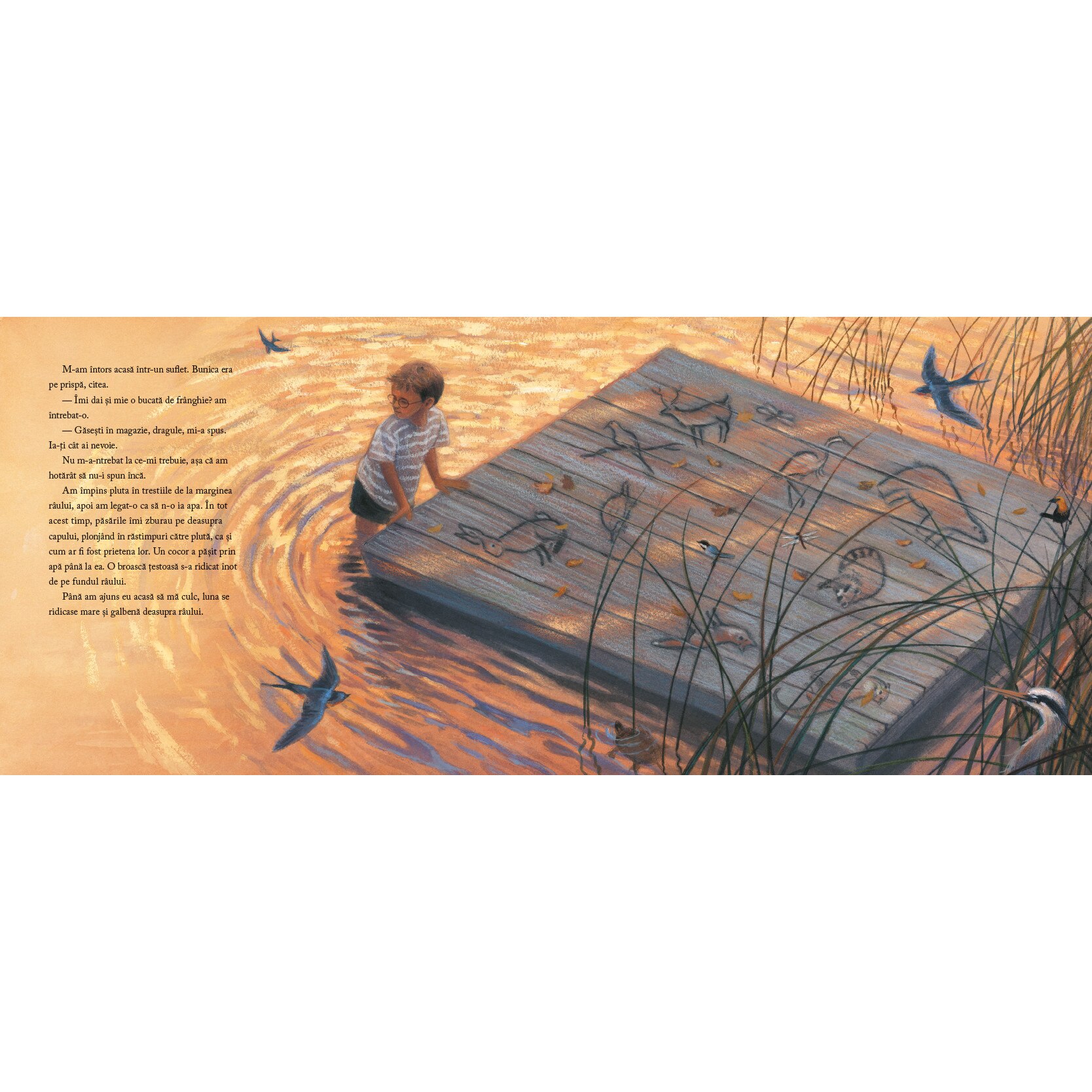 Pluta, CARTEA COPIILOR, Jim LaMarche, carte ilustrata, 4-9 ani, coperta ...