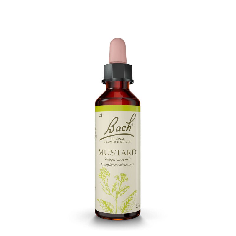 Bach 21 Mustard, Mustar Salbatic Picaturi 20ml, Remedii florale ...