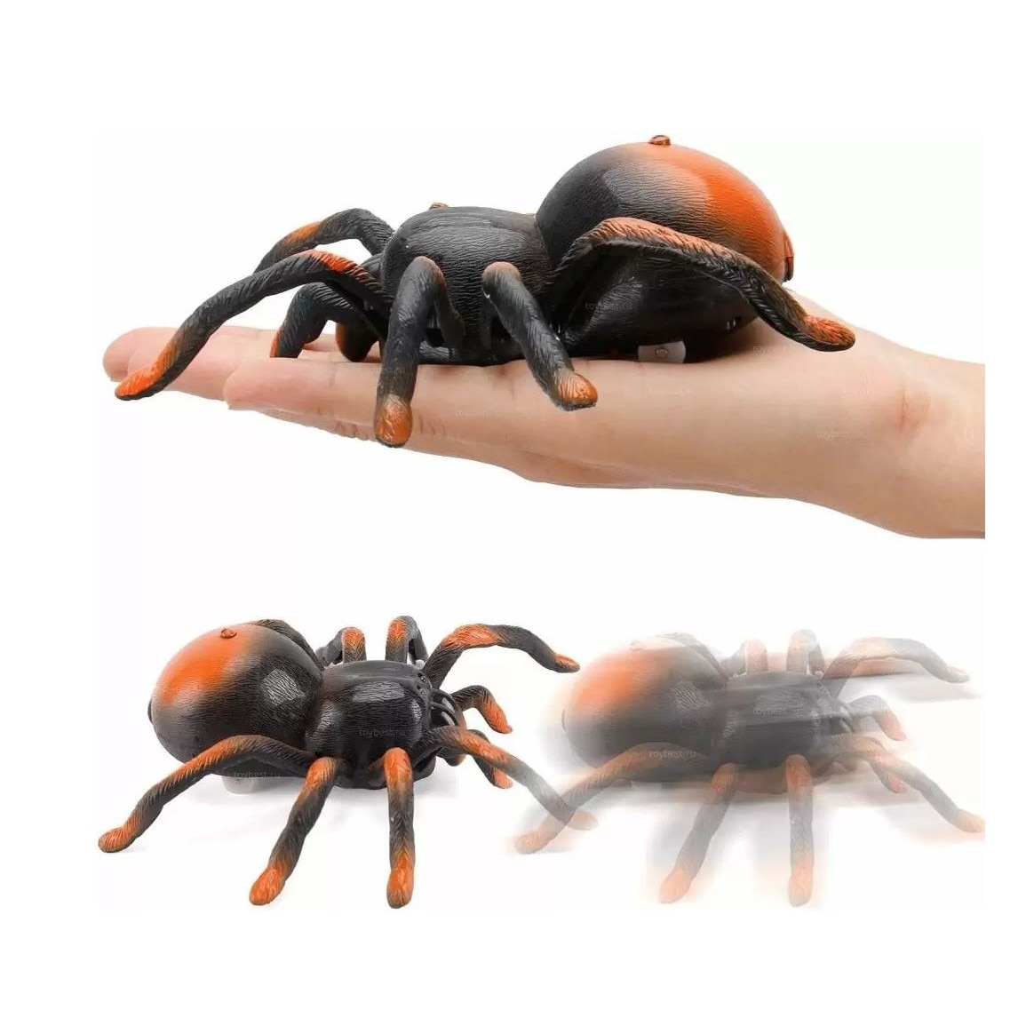 Set Jucarii Interactive pentru Copii, Sarpe si Paianjen cu Telecomanda ...