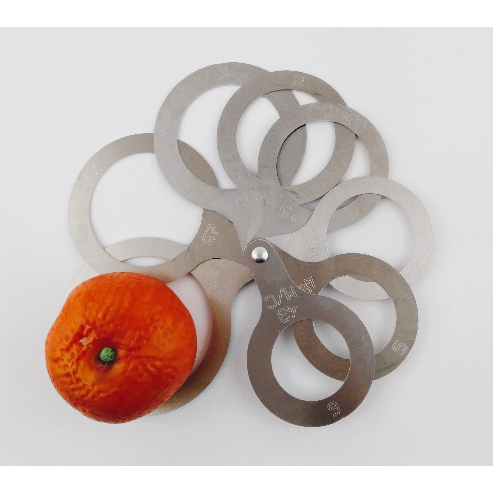 Calibru inelar pentru sortarea mandarinelor, clementinelor, etc., din ...