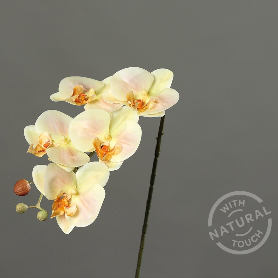 Orhidee artificiala fir 52 cm, aspect 100% natural, culoare crem - eMAG.ro