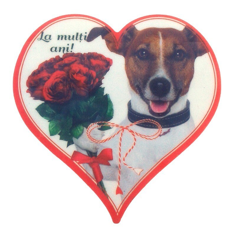 Magnet din plastic cu aspect sidefat, in forma de inima, cu animale ...