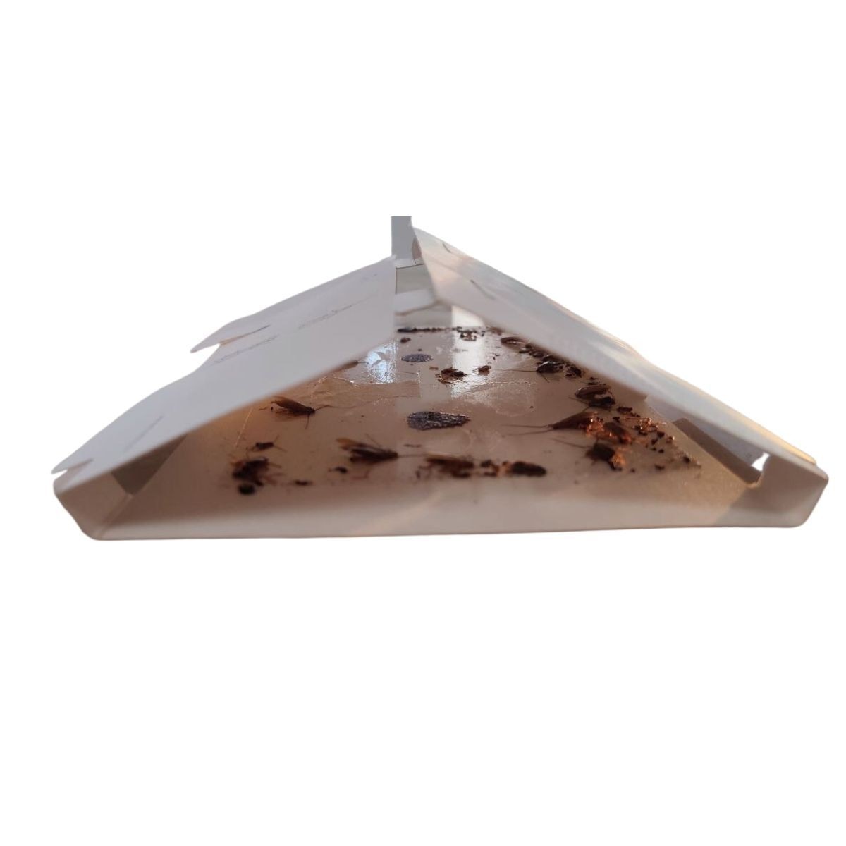 Capcana pentru gandaci de bucatarie, Pure Catch, set 3 bucati - eMAG.ro