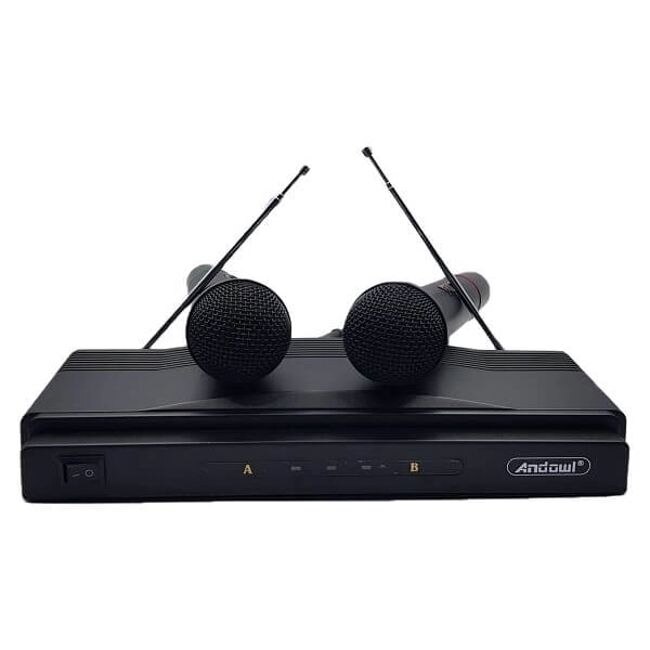 Set 2 microfoane wireless, receiver MIC590 - eMAG.ro