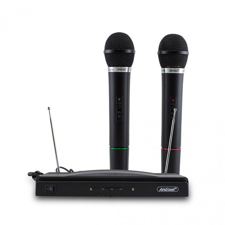 Set 2 microfoane wireless, receiver MIC590 - eMAG.ro