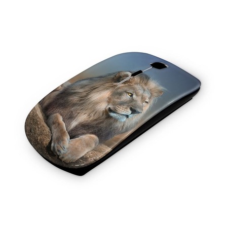 Mouse fara fir Leu 14 - eMAG.ro