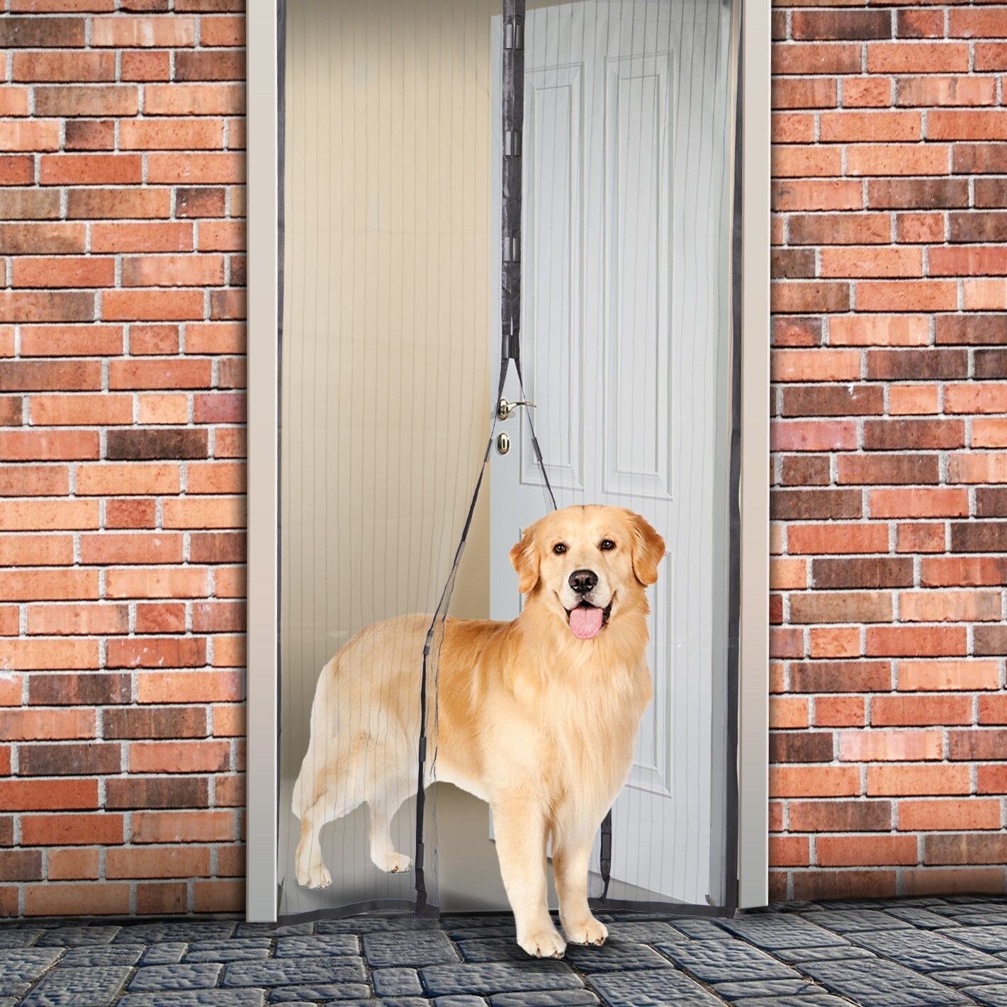 Set 2 x Perdea Tip Plasa Anti-insecte, cu Magneti, Grunberg, cu Dungi ...