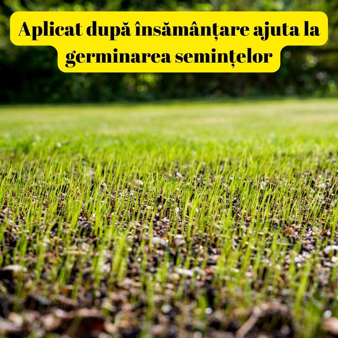 Ingrasamant foliar Ascoferti pentru gazon 1 litru, acoperire 1000 mp2 ...