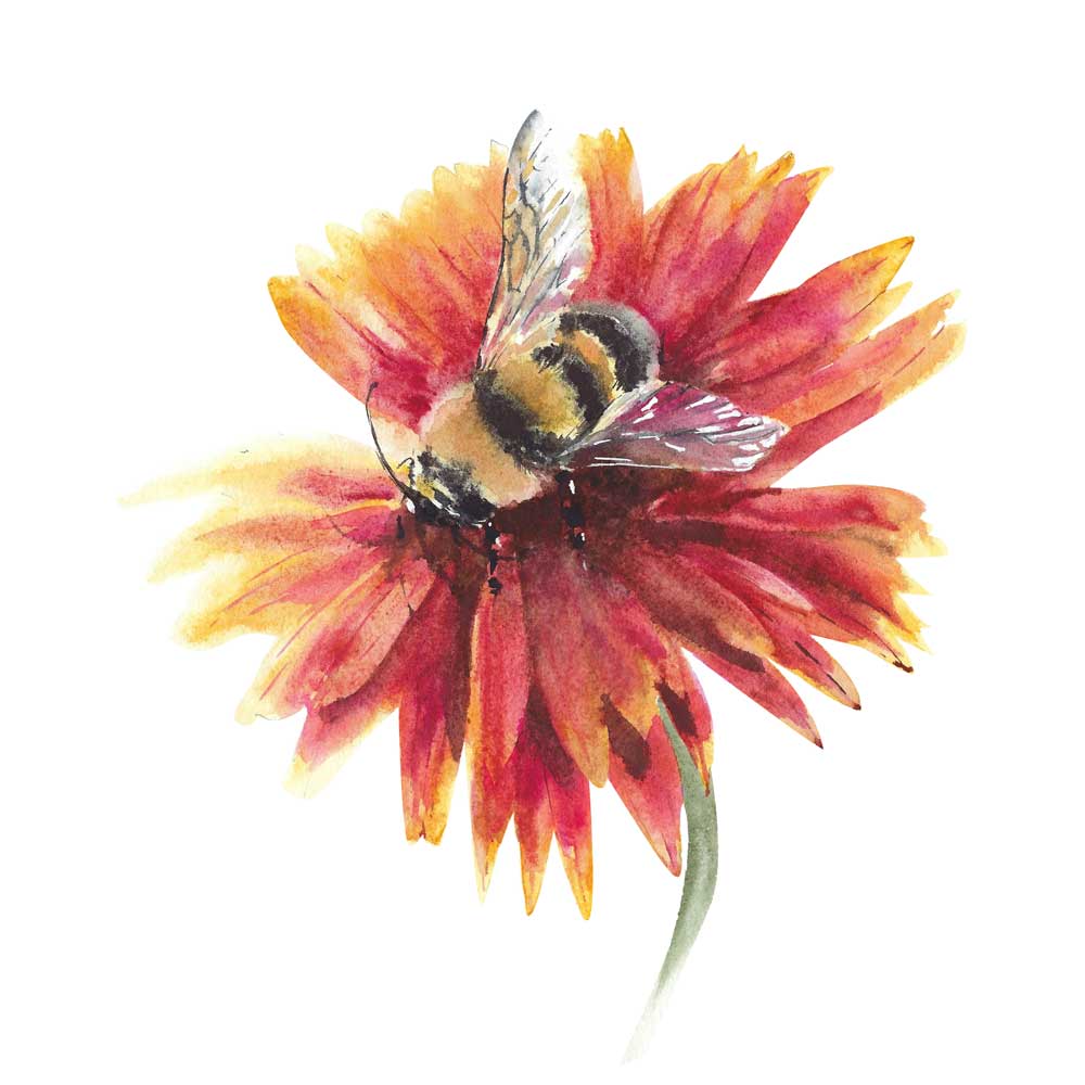 Poster - Albina pe Floare, 21x30 - eMAG.ro