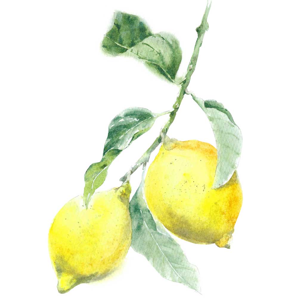 Poster - Lemonia, 21x30 - eMAG.ro