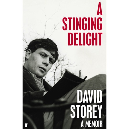 A Stinging Delight de David Storey - eMAG.ro