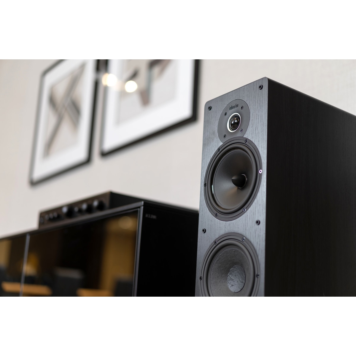 Boxe de podea Indiana Line TESI 561, Negru - eMAG.ro