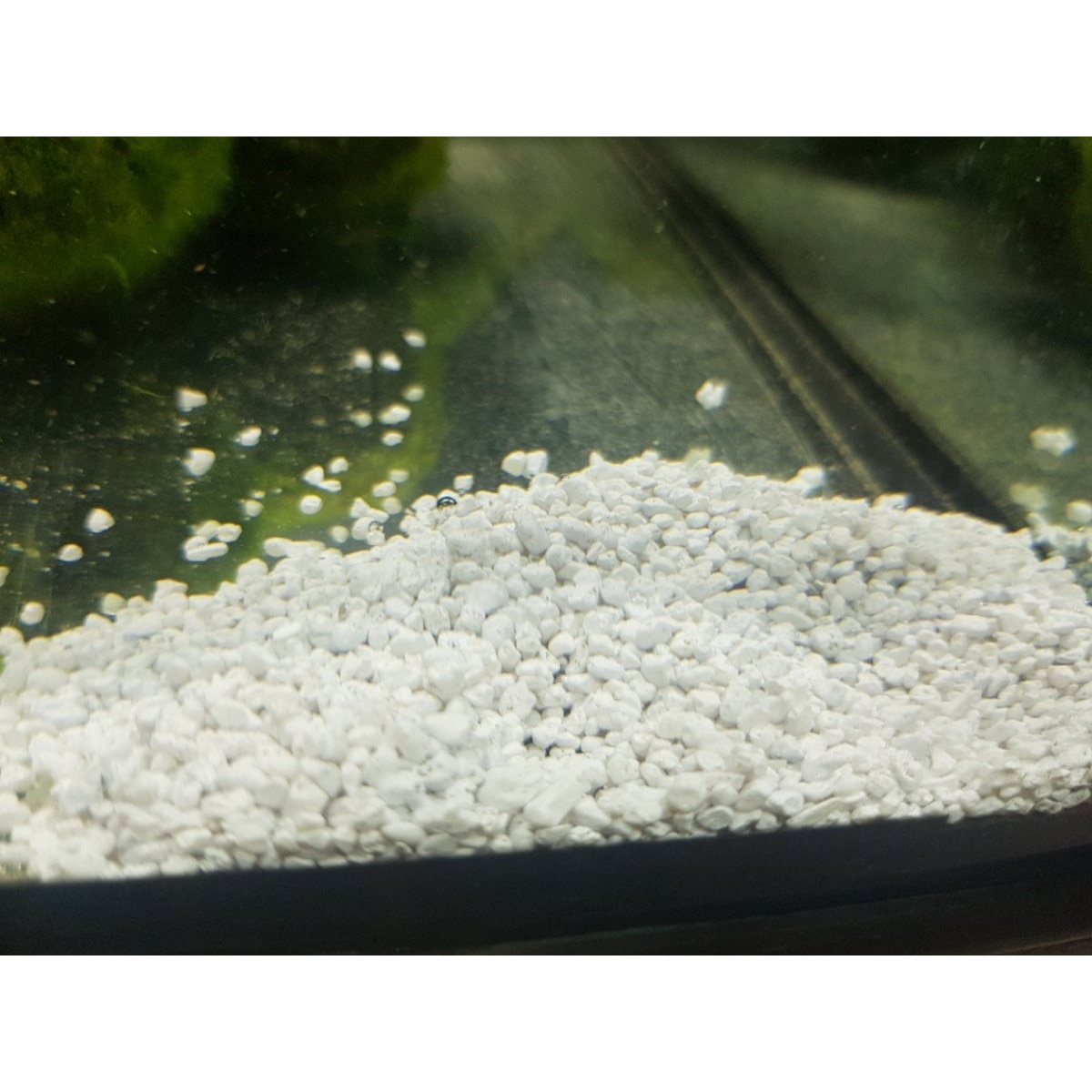 Pietris pentru acvariu, Cuart, 2-3 mm, 1 kg, Alb - eMAG.ro