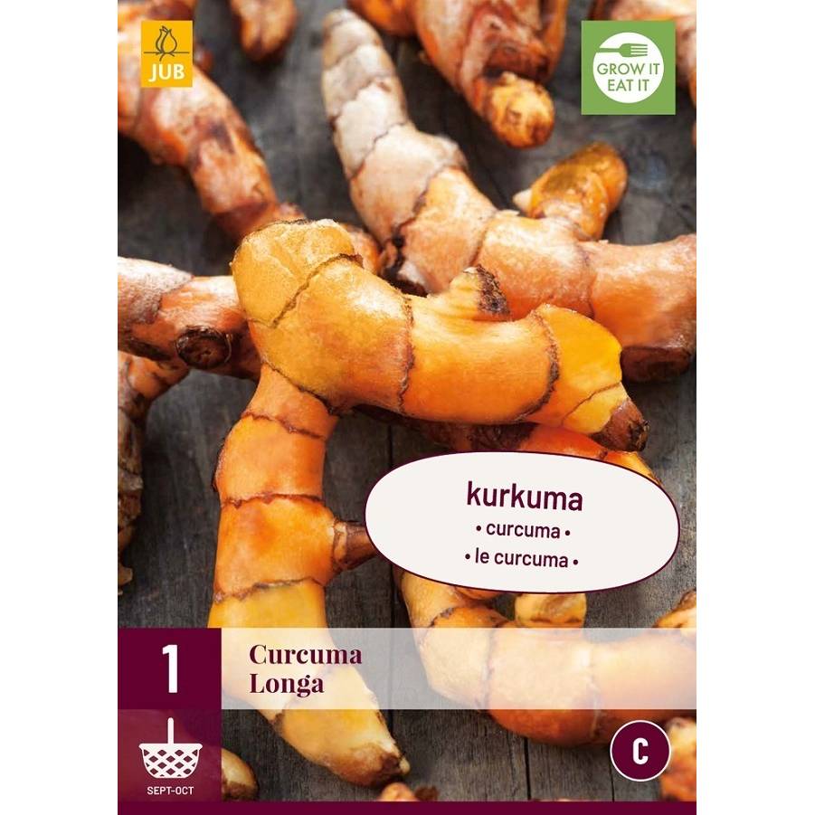 Rizom de radacina, Turmenic Curcuma Longa, Jub Holland, 1 Buc - eMAG.ro