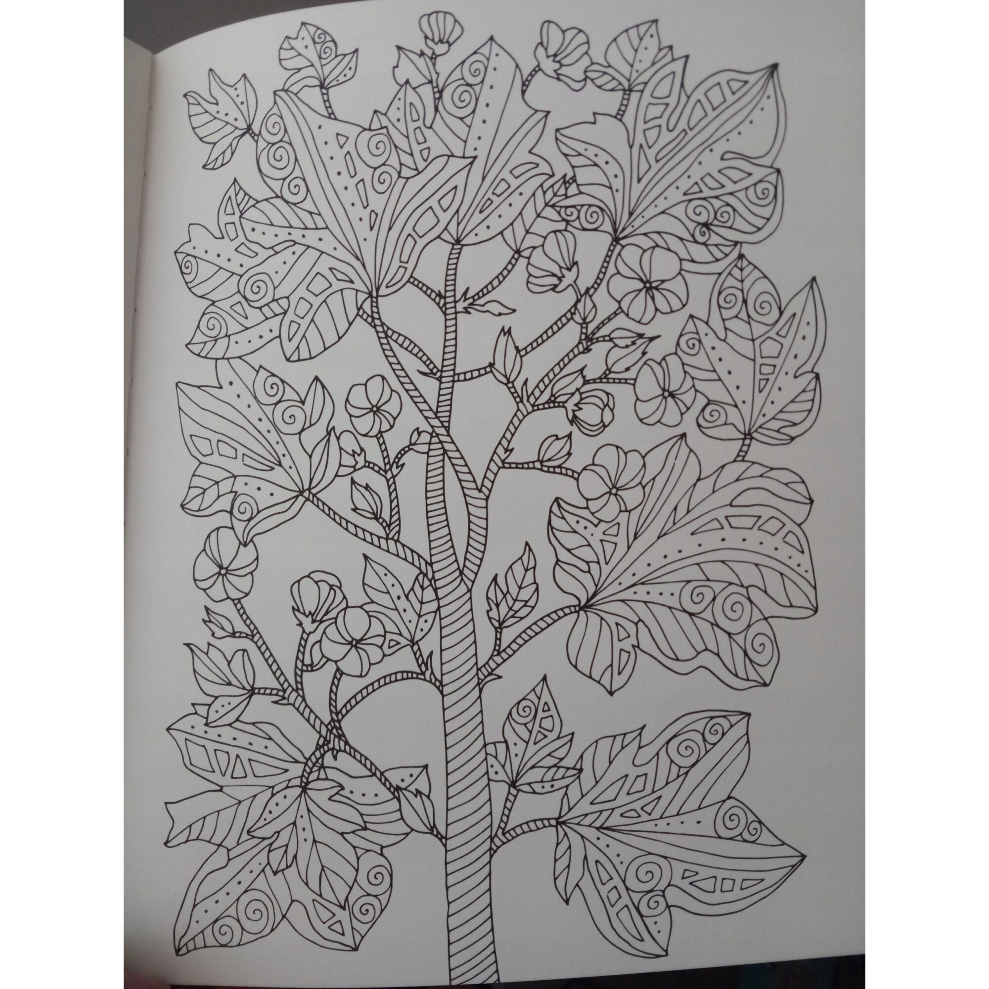 Carte de colorat, Craft Sensations, 80 pagini - eMAG.ro