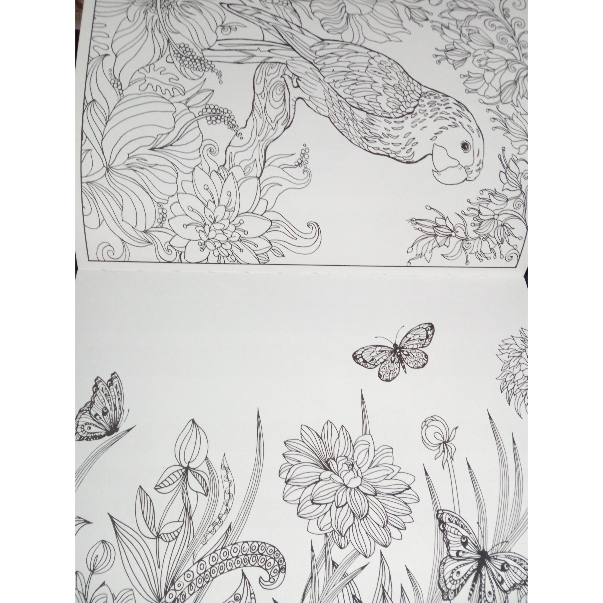 Carte de colorat, Craft Sensations, 80 pagini - eMAG.ro