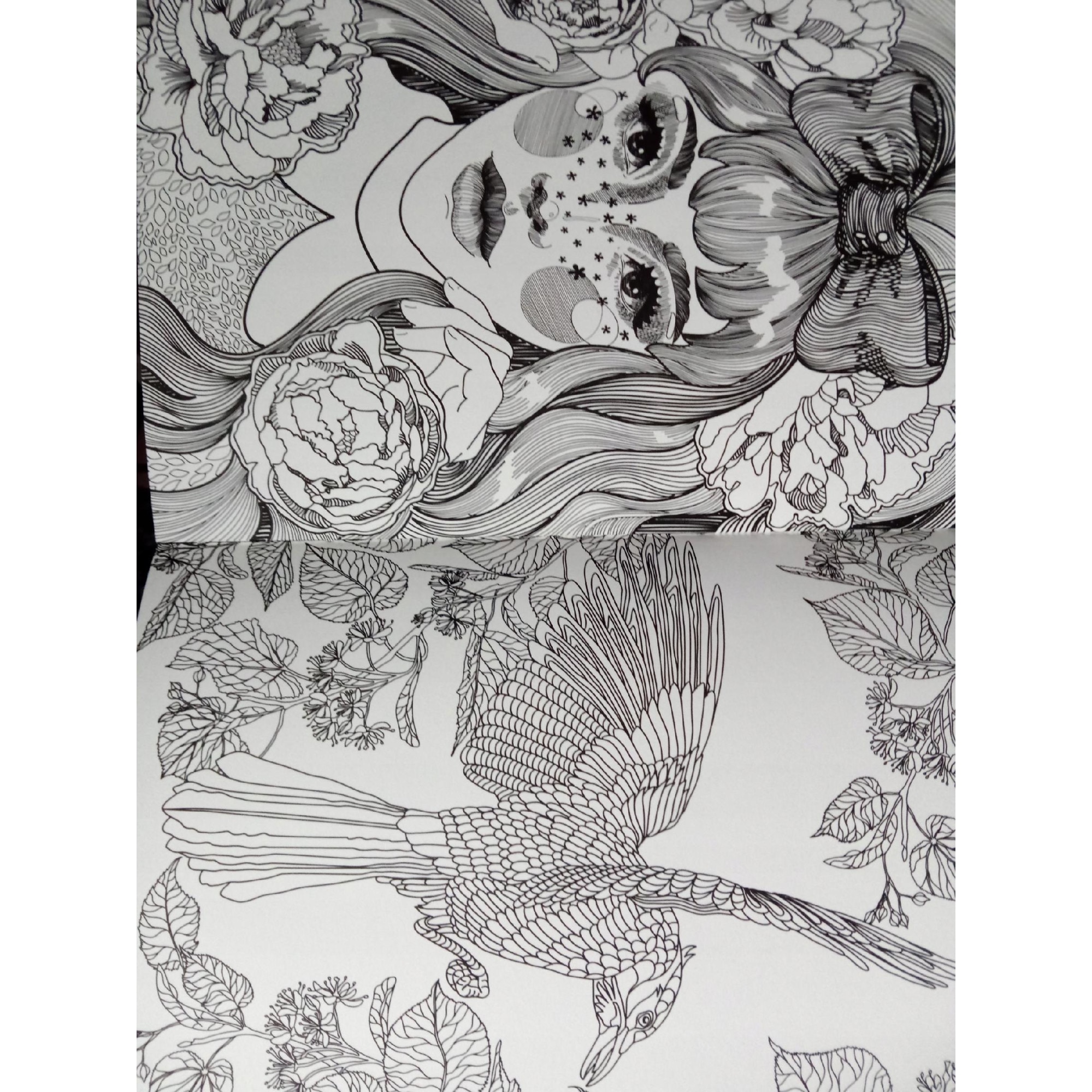 Carte de colorat, Craft Sensations, 80 pagini - eMAG.ro