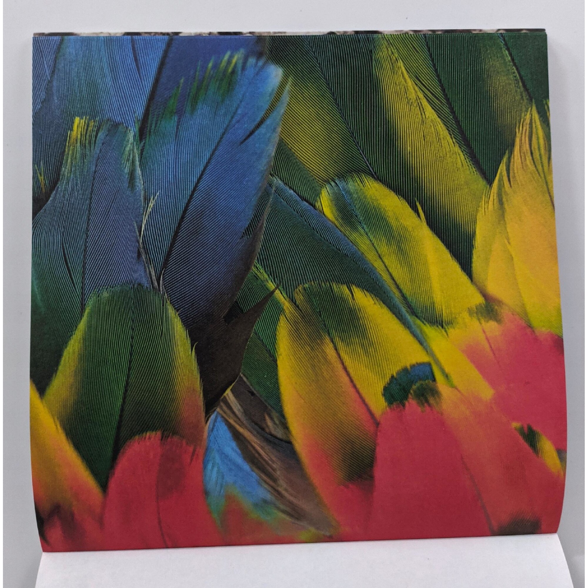 Set 50 de foi cu modele, Craft Sensations, 15 x 15 cm, Multicolor - eMAG.ro