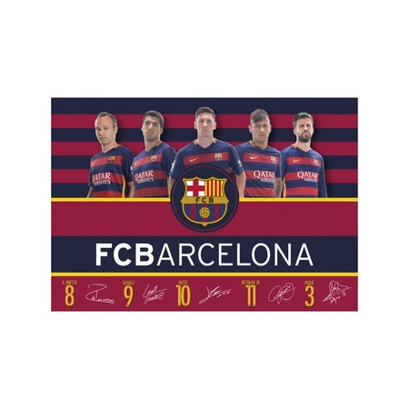 Mousepad cu FC BARCELONA, Astra, Carton, 49.5x34.5cm, Multicolor - eMAG.ro