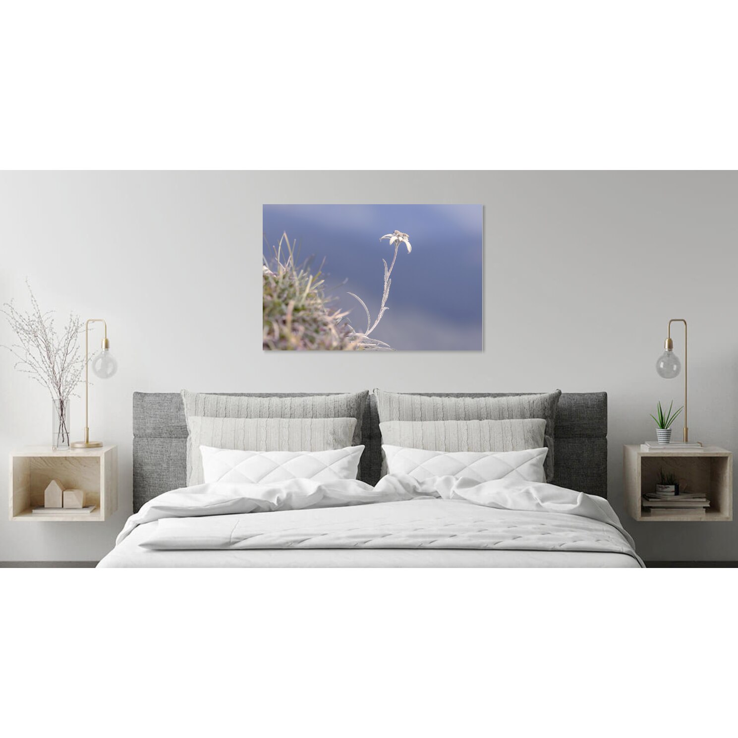 Tablou canvas, Floare de colt (Leontopodium alpinum), monument al ...