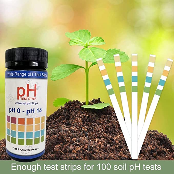 Benzi de testare a solului Soil Ph 0-14, 1000 bucati, Multicolor - eMAG.ro