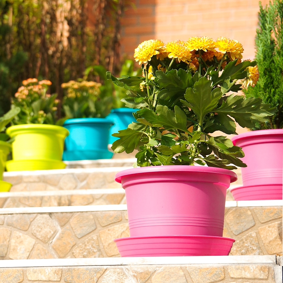 Ghiveci plante, Hydrostab, Ella Campanula 40, 40x28cm, interior si ...