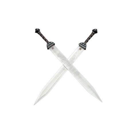 Set de 2 Sabii Romane cu Teaca, Inox, JT6202 - eMAG.ro