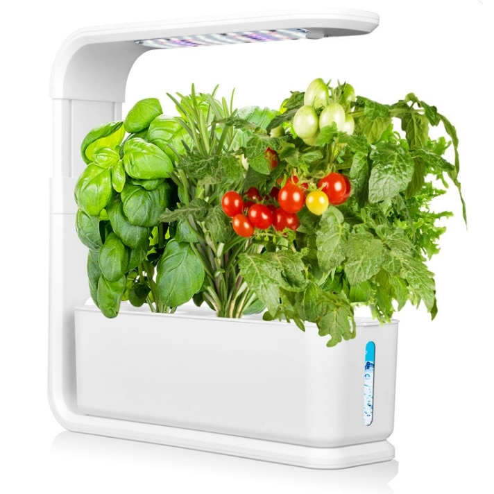 Sistem de cultivare hidroponica, ghiveci inteligent, jardiniera smart ...