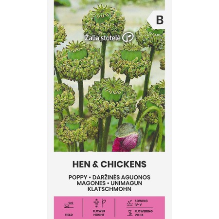 Seminte, Mac de gradina Poppy Hen & Chickens, Žalia Stotelė, plic, 0.5 ...