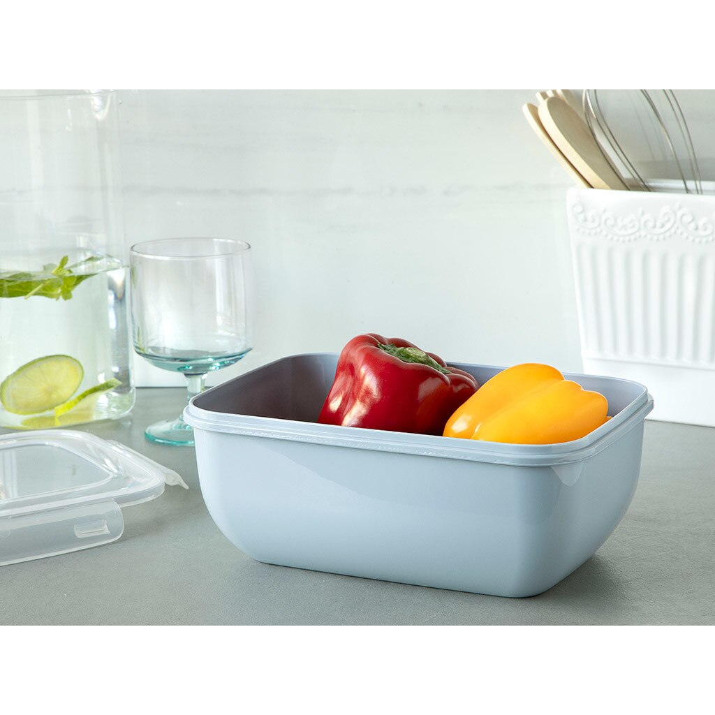 Recipient pentru Alimente cu capac, English Home, Stella, Plastic ...