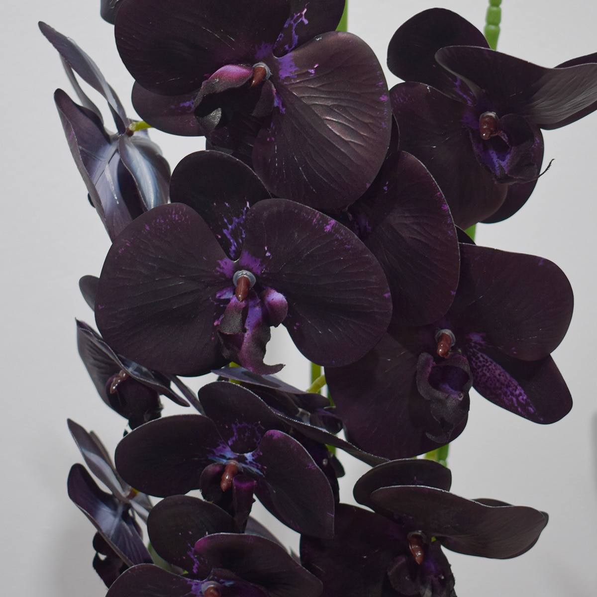 Orhidee cu aspect natural in ghiveci ceramic, 70 cm, Naimeed D4855, Mov ...