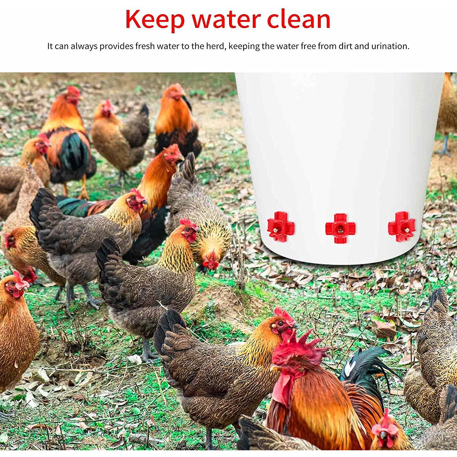 Set 12 adapatoare de apa pentru pasari de curte, Plastic/Inox, Rosu ...