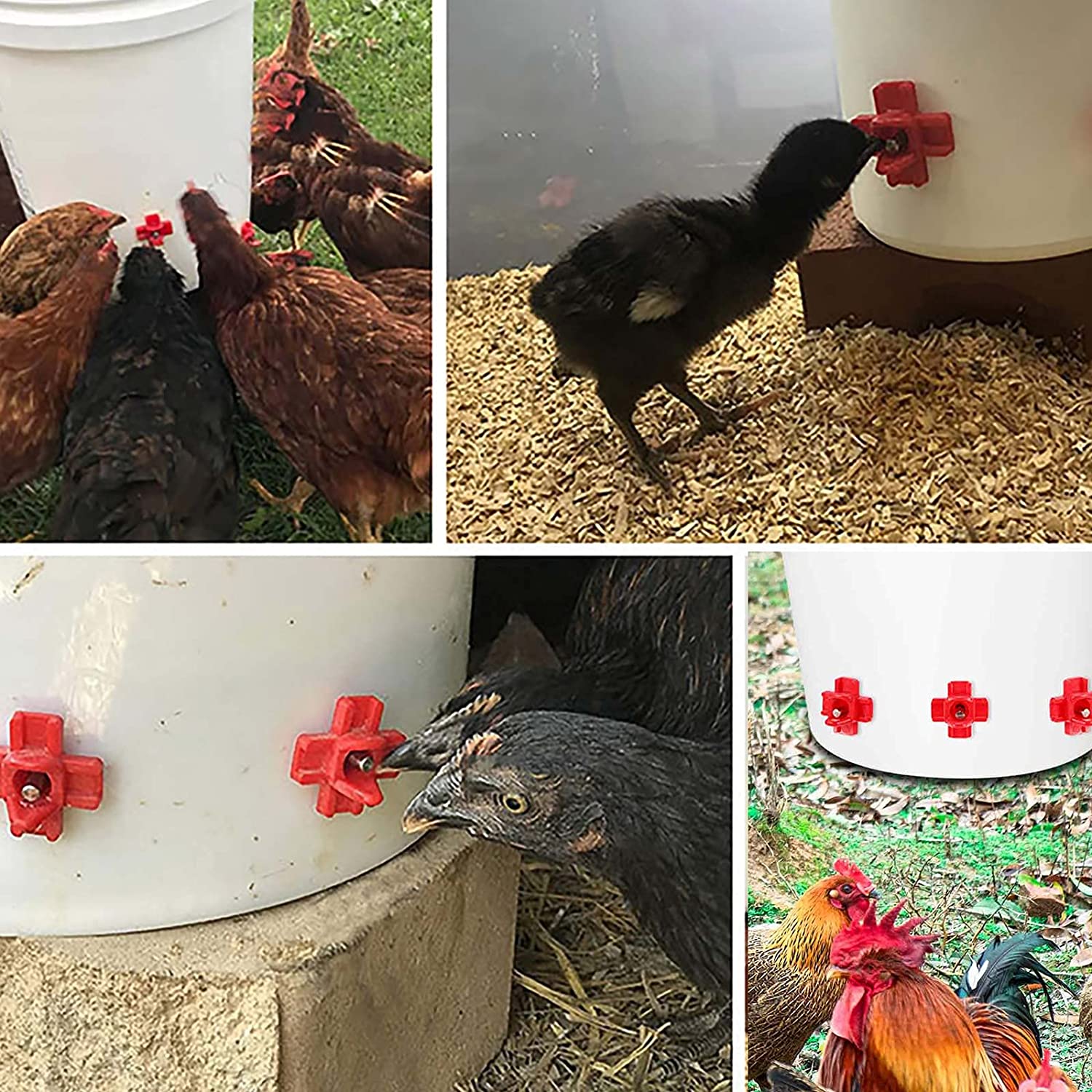 Set 12 adapatoare de apa pentru pasari de curte, Plastic/Inox, Rosu ...