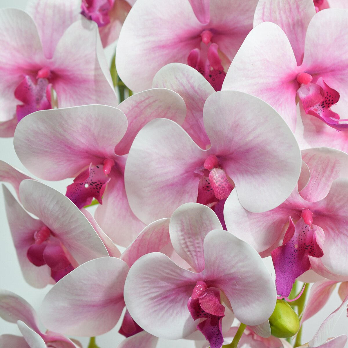 Orhidee cu aspect natural in ghiveci ceramic, 70 cm, Naimeed D4855, Roz ...