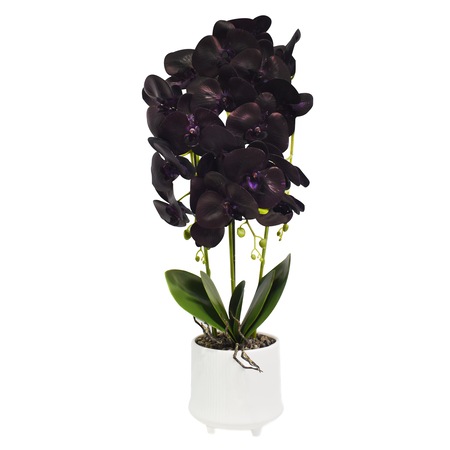Orhidee cu aspect natural in ghiveci ceramic, 70 cm, Naimeed D4855, Mov ...