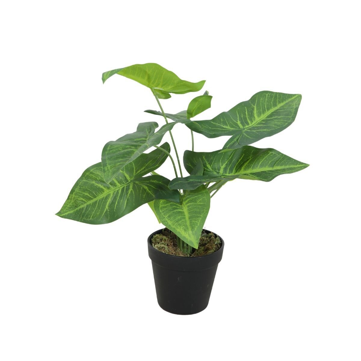 Planta artificiala Colocazie, trunchi si ghiveci din plastic, 40 cm ...