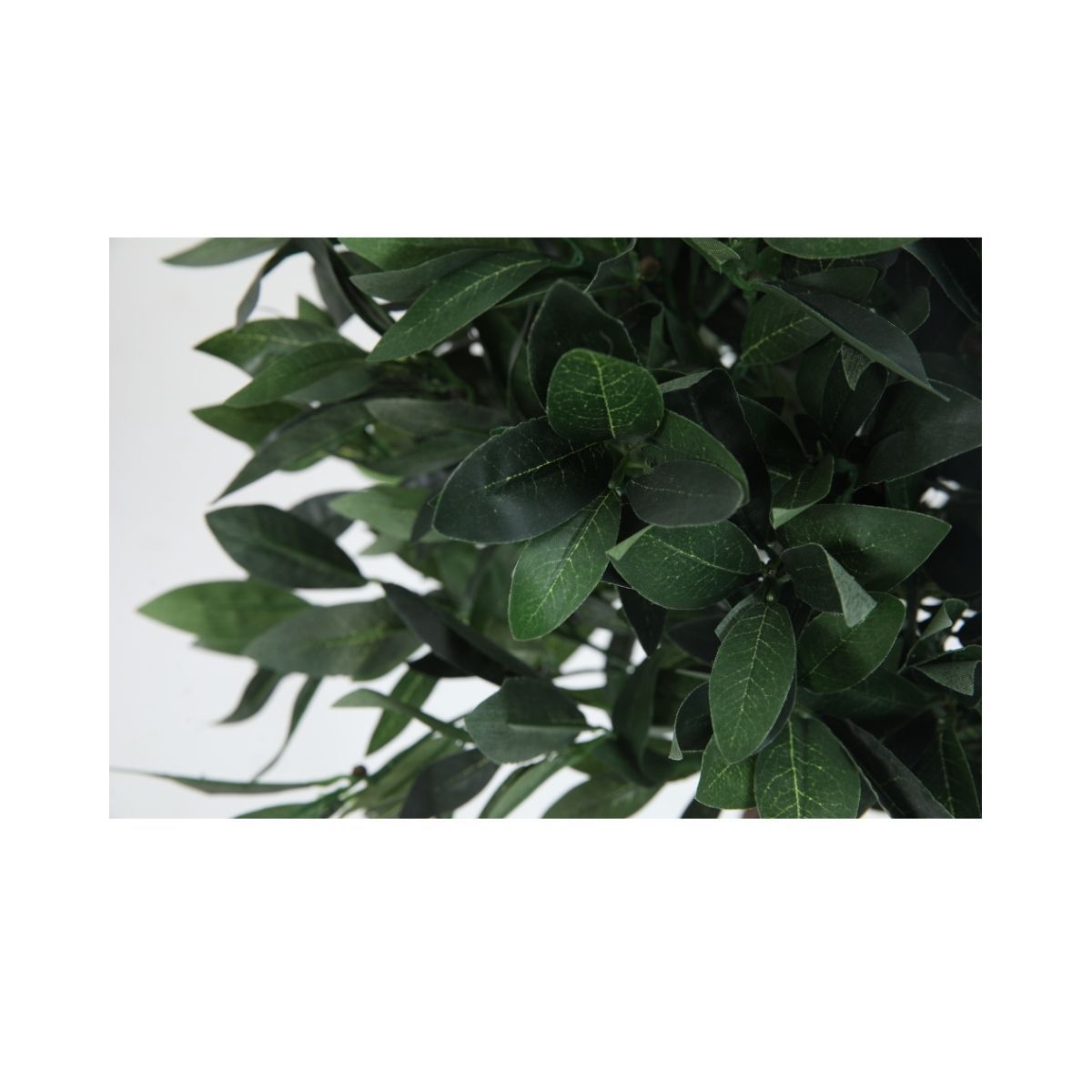 Planta artificiala Dafin, trunchi din lemn, 120 cm - eMAG.ro