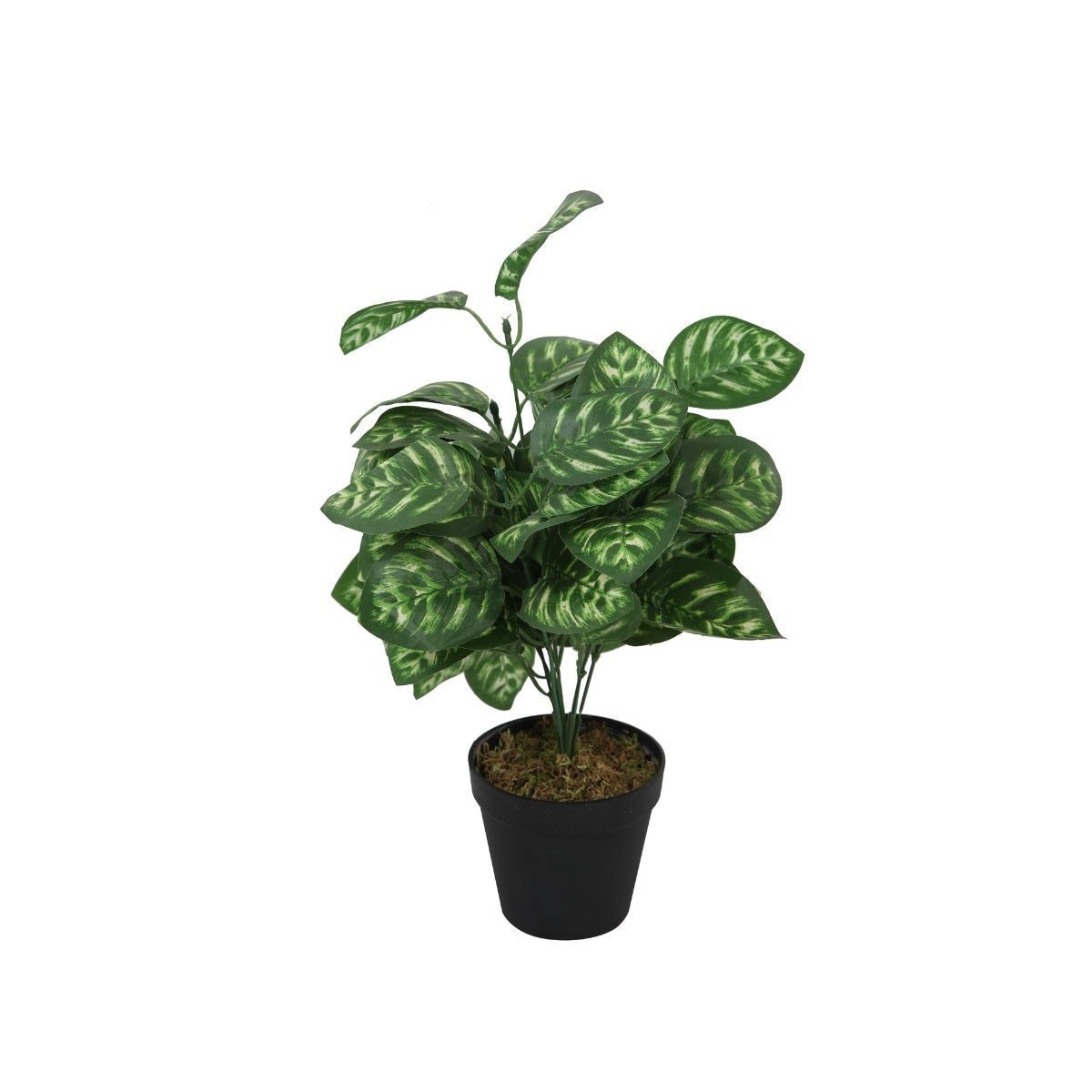 Planta artificiala Calathee, frunze din textil, 45 cm - eMAG.ro