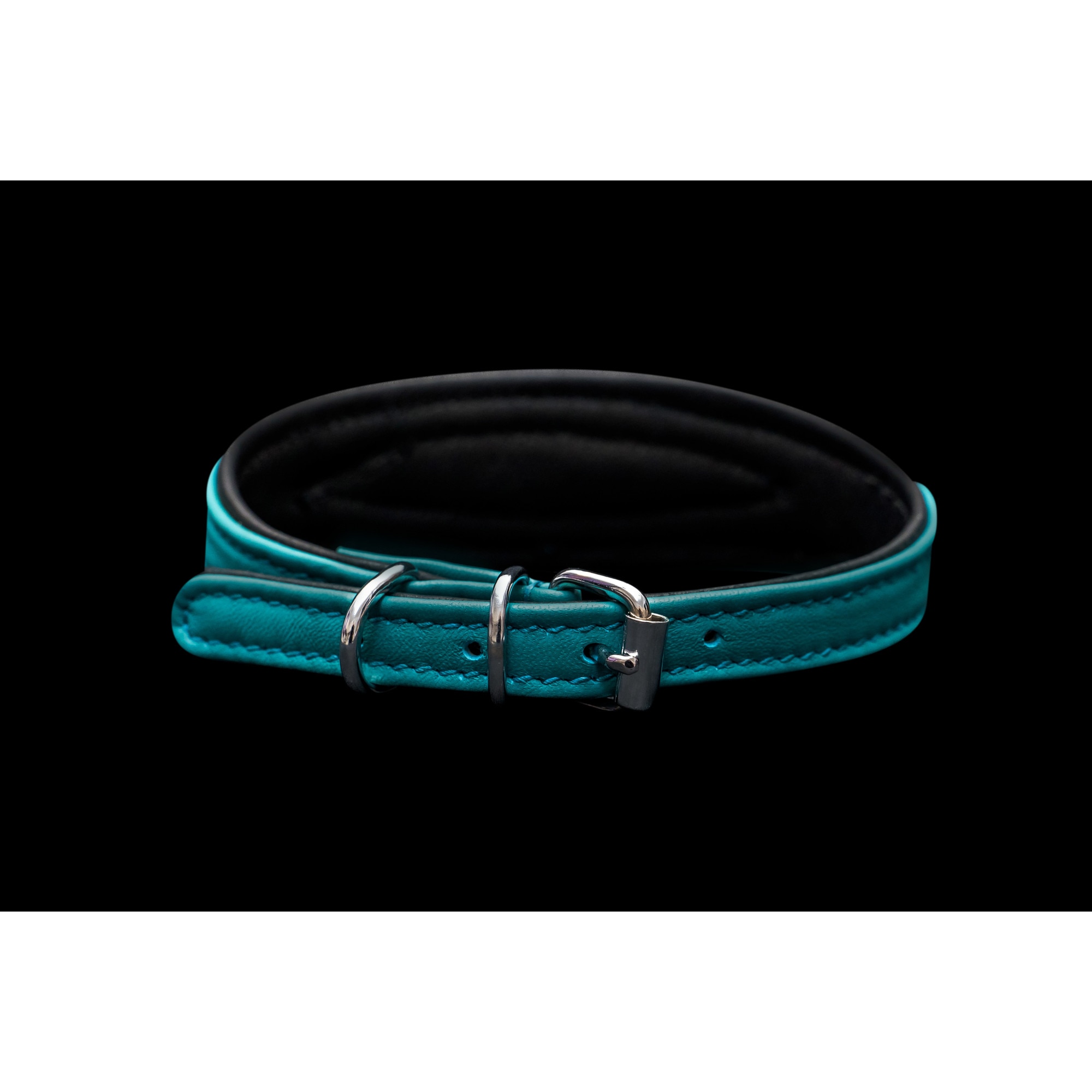 Zgarda caine vanatoare Let's Glow, piele naturala turquoise cu negru ...