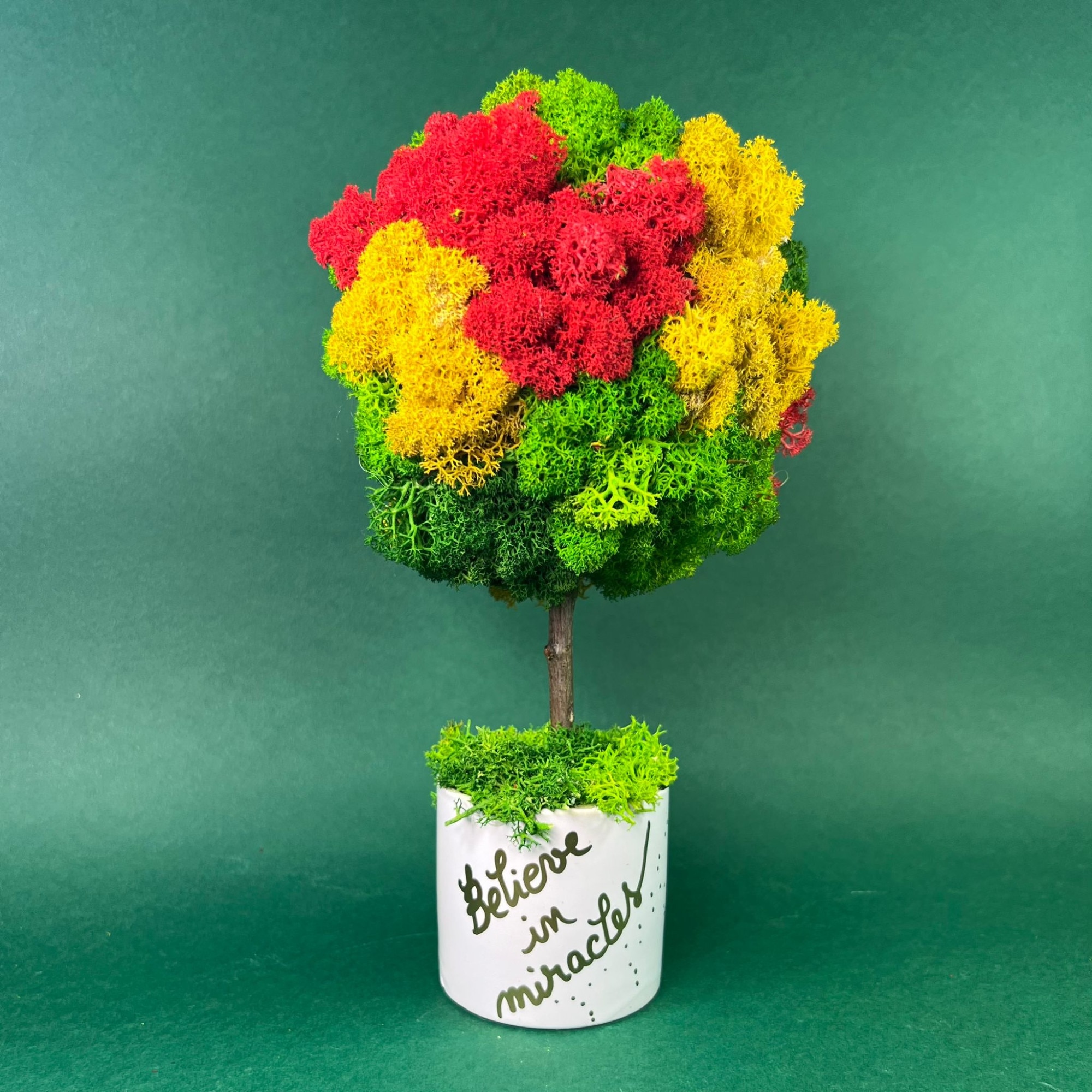 Copacel Believe in miracles licheni stabilizati 21cm - eMAG.ro