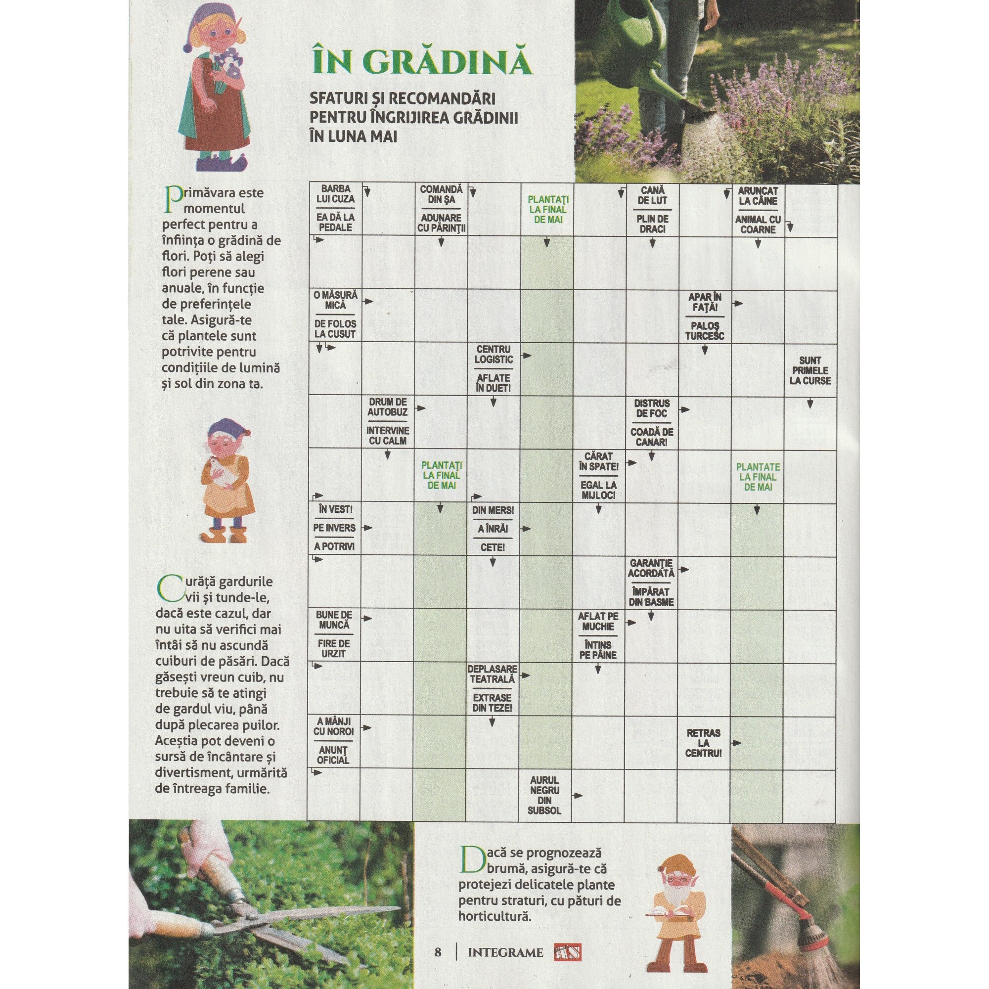 Integrame Formula AS 7/2023 - eMAG.ro