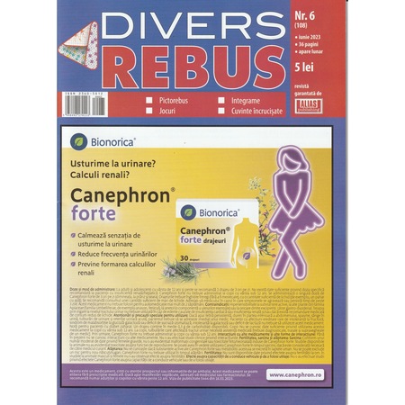 Divers rebus 6/2023 - jocuri, integrame, cuvinte incrucisate - eMAG.ro