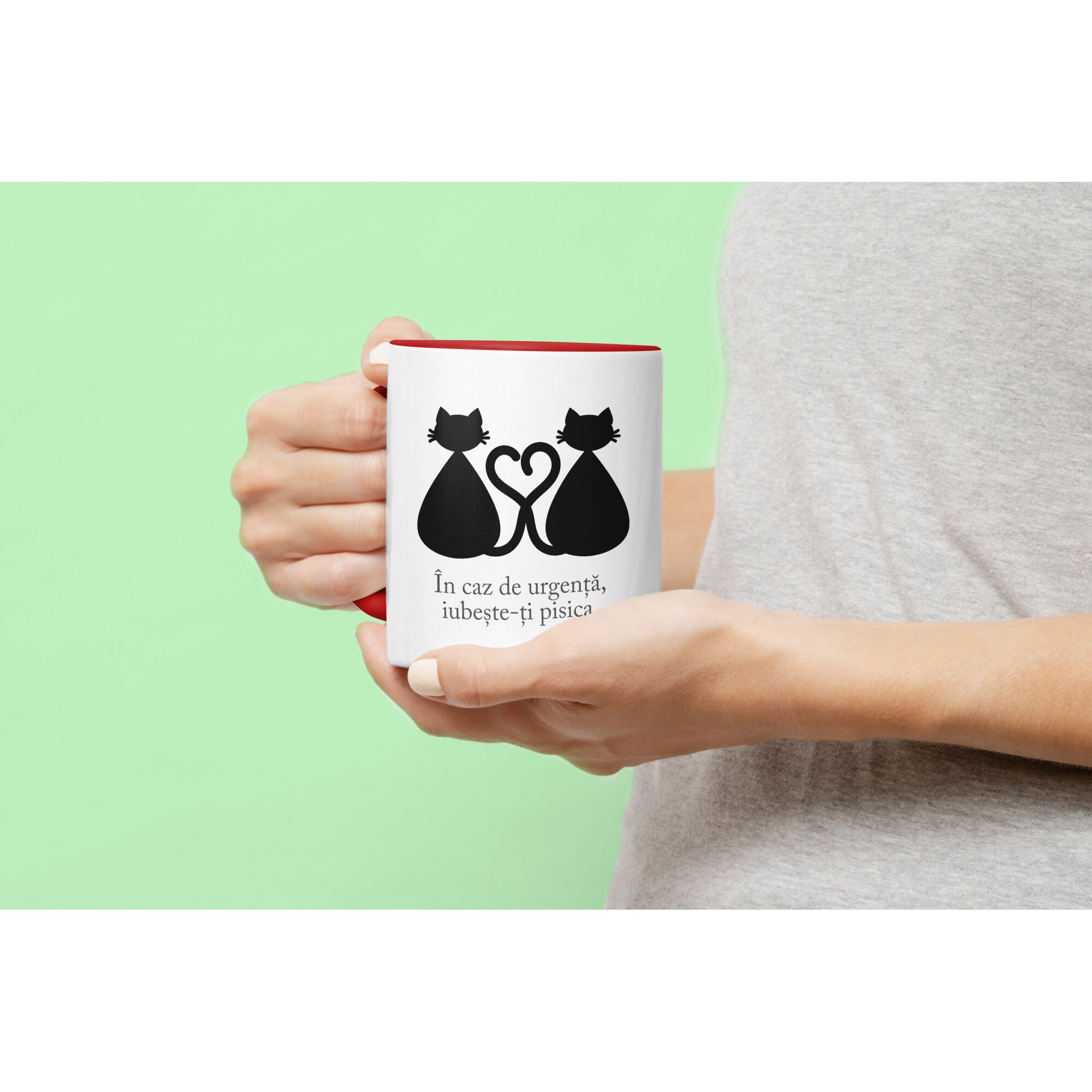 Cana Cu Pisici Negre Cozi In Forma De Inima, Text In Caz De Urgenta ...
