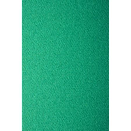 Hartie Prisma 220g Verde verde - 10A4 - eMAG.ro