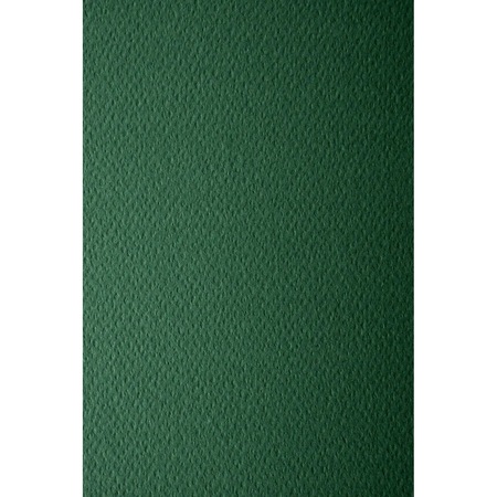 Hartie karton bristol decorativa colorata texturata pentru artisti ...