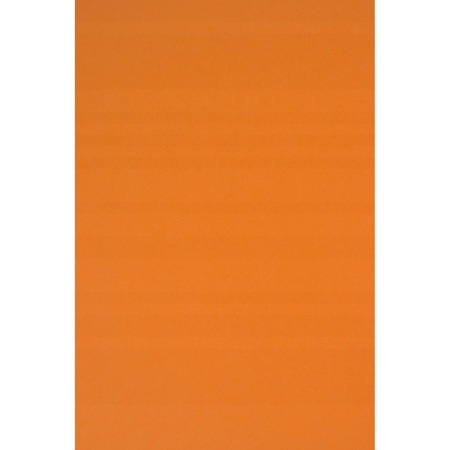 Carton colorat, Netuno, A2, Portocaliu, 10 bucati - eMAG.ro