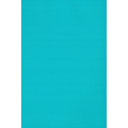 Hartie A2, NETUNO, Albastru, 10 buc - eMAG.ro