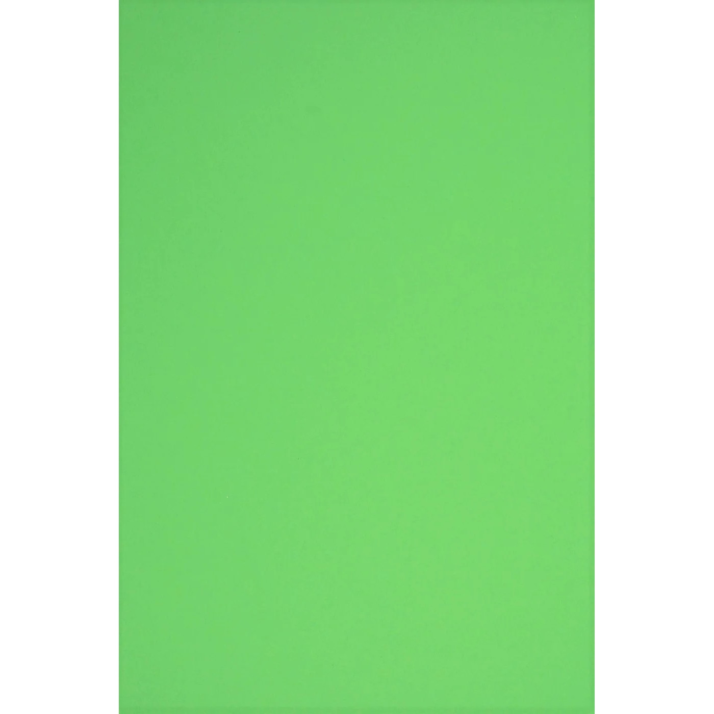 Set 10 coli hartie colorata simpla, Netuno Rainbow, 230g, Verde - eMAG.ro